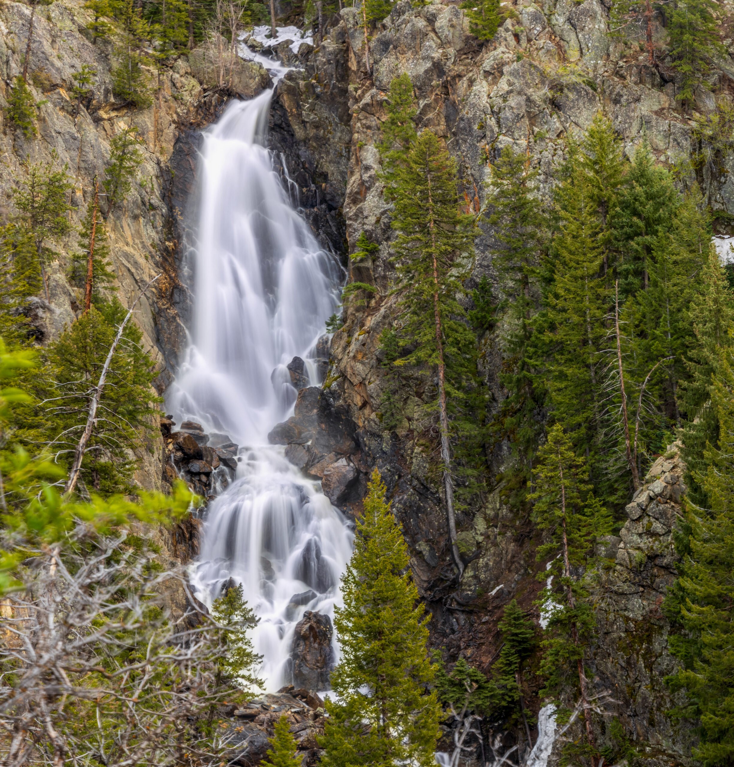 Take a Hike: Our Staff's Favorite Steamboat Springs Trails